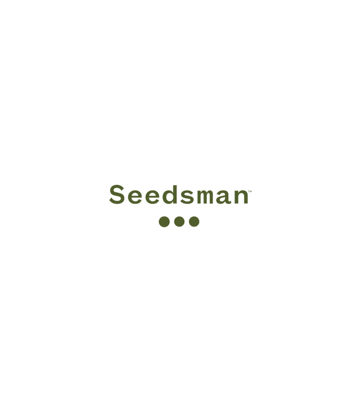 Seedsman - Ceny, opinie | TanieSianie.pl